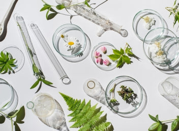 Luma & Leaf | Natural, Hydrating Skincare Powered by Plants